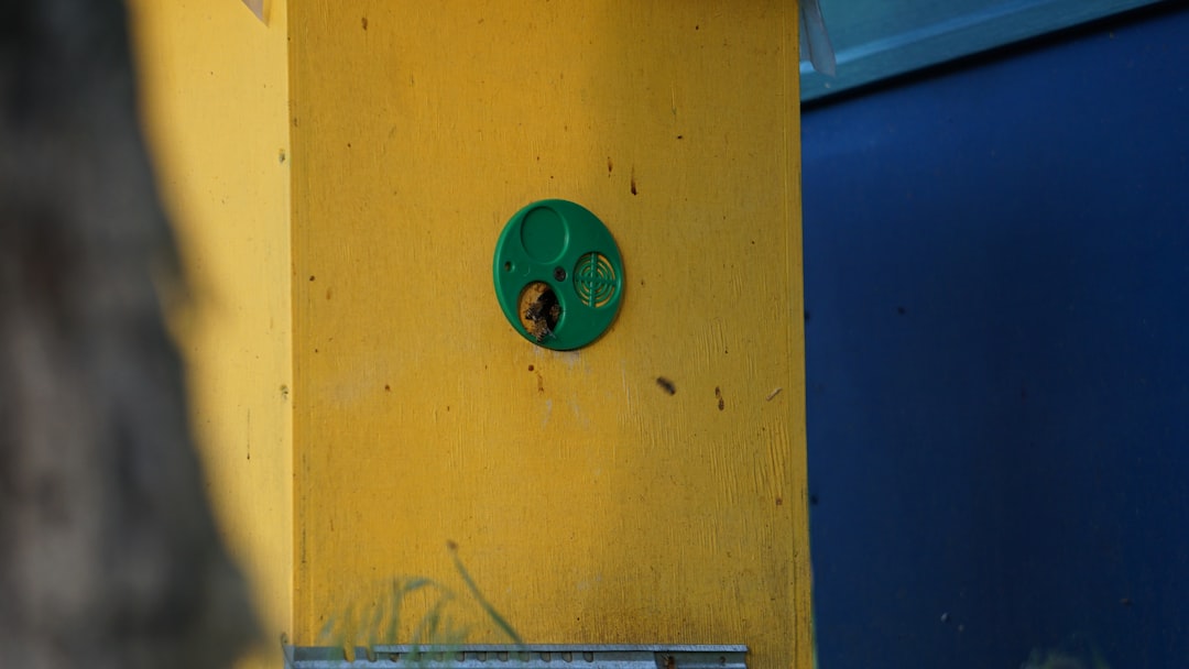 Dit zijn de mooiste kleuren muur bij een groene bank - Muurtje.nl